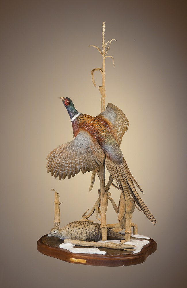 Wildlife – Fred Boyer