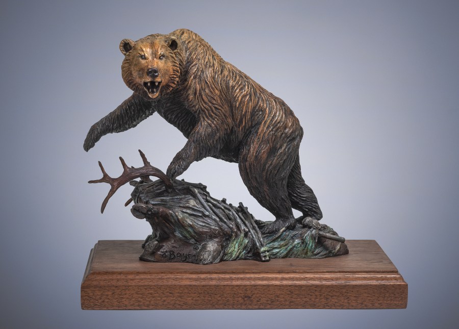 Wildlife – Fred Boyer