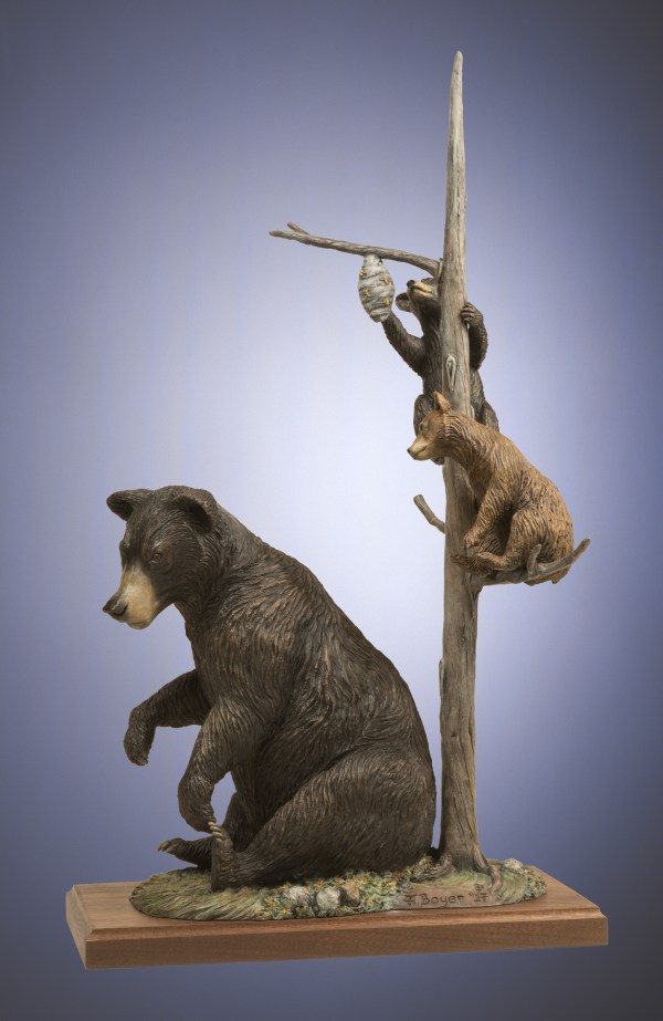 Wildlife – Fred Boyer