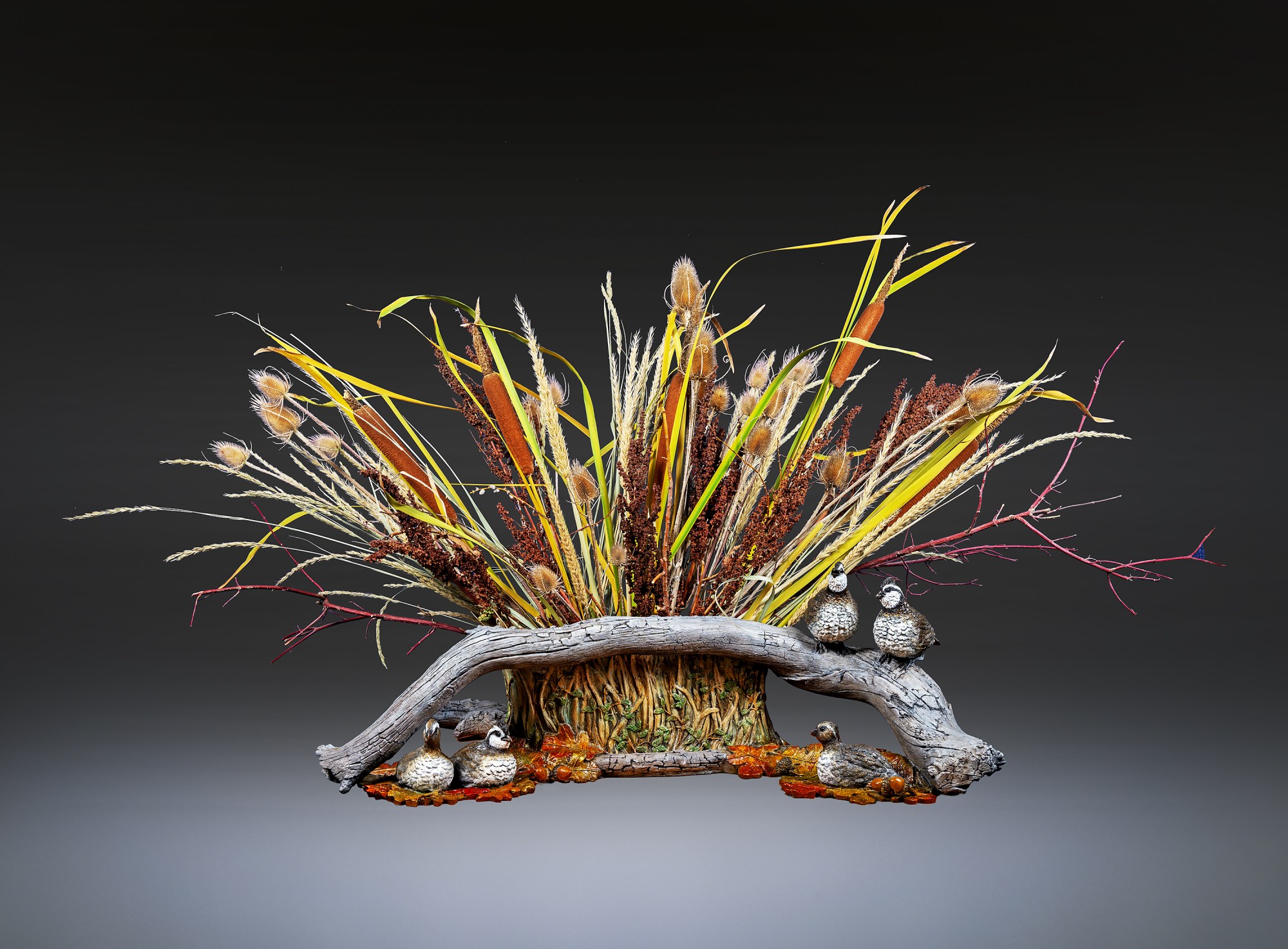 Wildlife – Fred Boyer