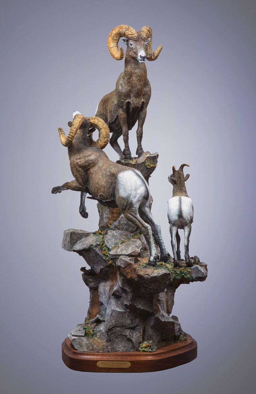 Wildlife – Fred Boyer