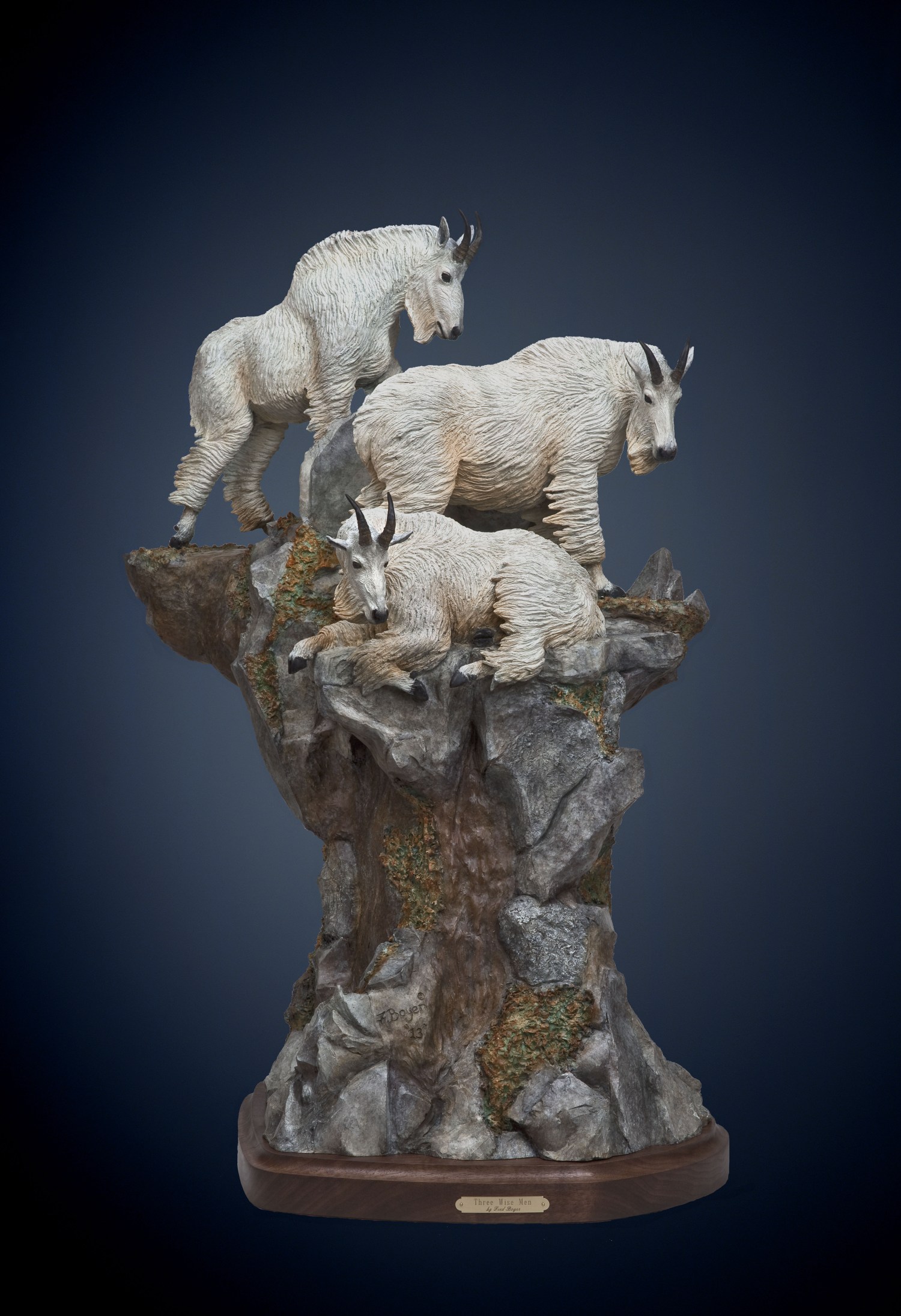 Wildlife – Fred Boyer